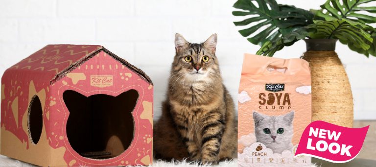 Kit Cat Soya Clump Cat Litter - Kit Cat International Pte Ltd