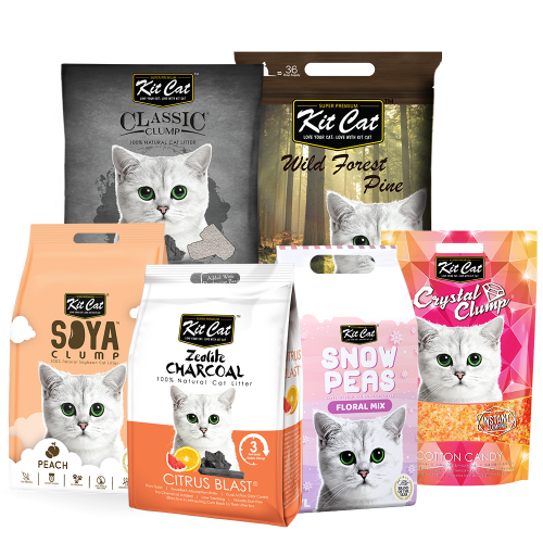 Products - Kit Cat International Pte Ltd